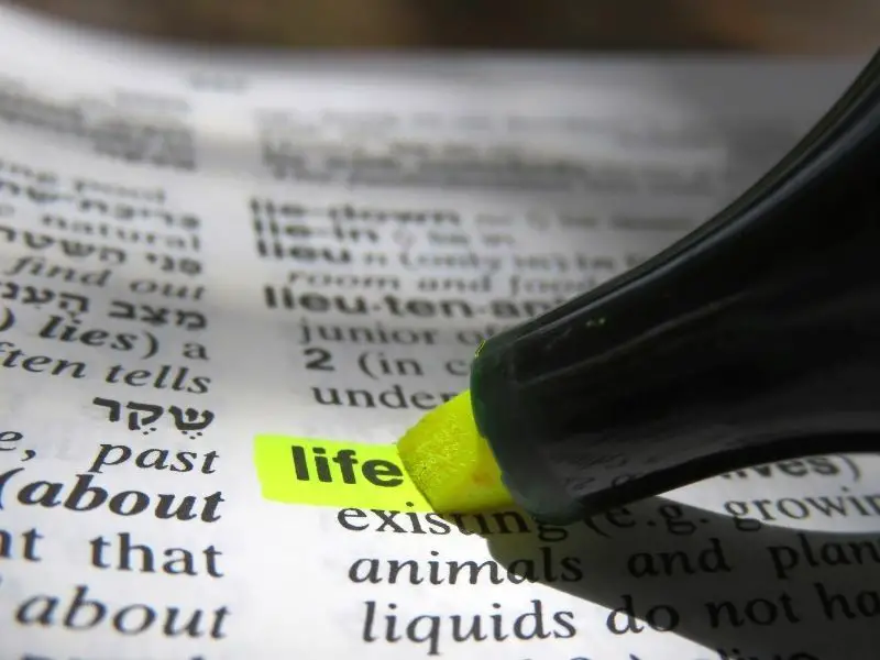 Steven Cassedy: What Do We Mean When We Talk About Meaning | Daily ...